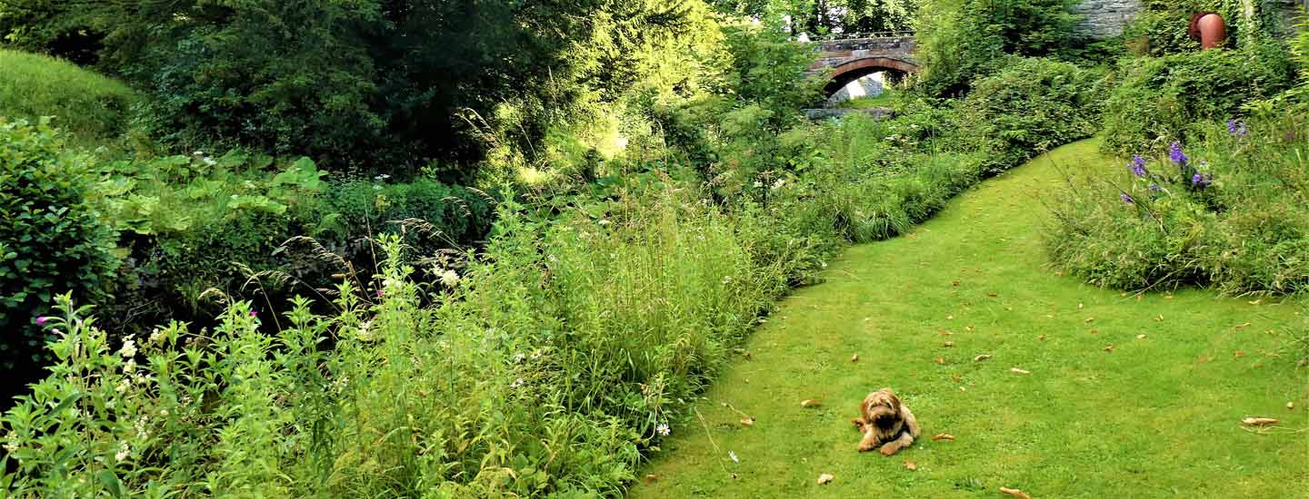 Dog-friendly holiday house Lake District - Morland House, Morland ...
